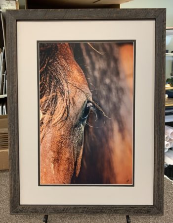 Services – Corner Frame and Gallery